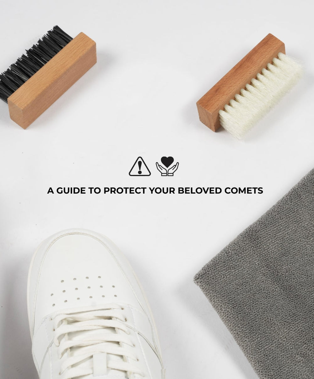 How to take care of your Comets